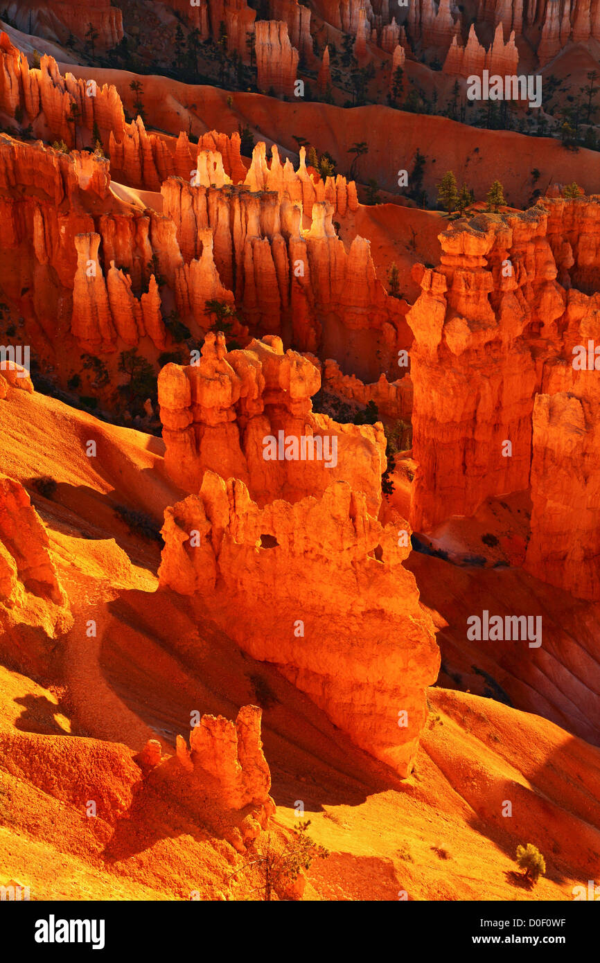 Sunrise from the Sunset Point lookout at Bryce Canyon National Park ...