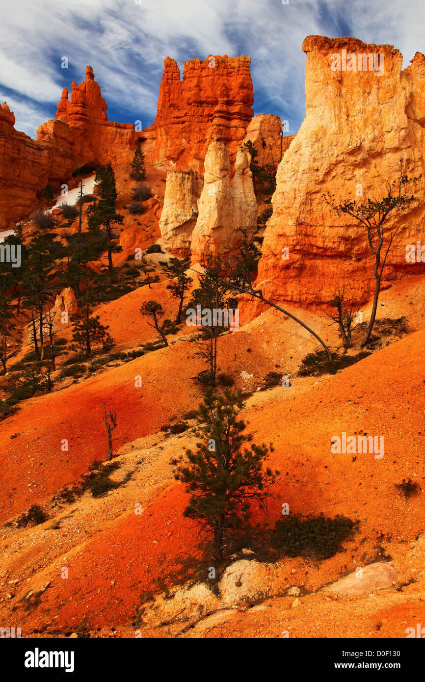 The Fairyland Loop in Bryce Canyon National Park, Utah Stock Photo - Alamy