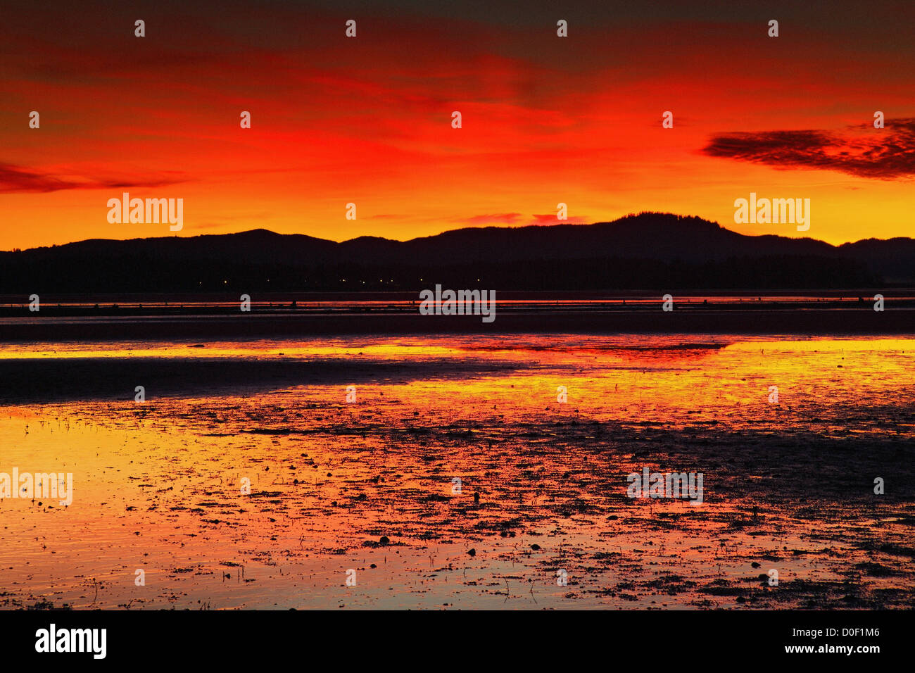 Fern ridge lake, oregon hi-res stock photography and images - Alamy