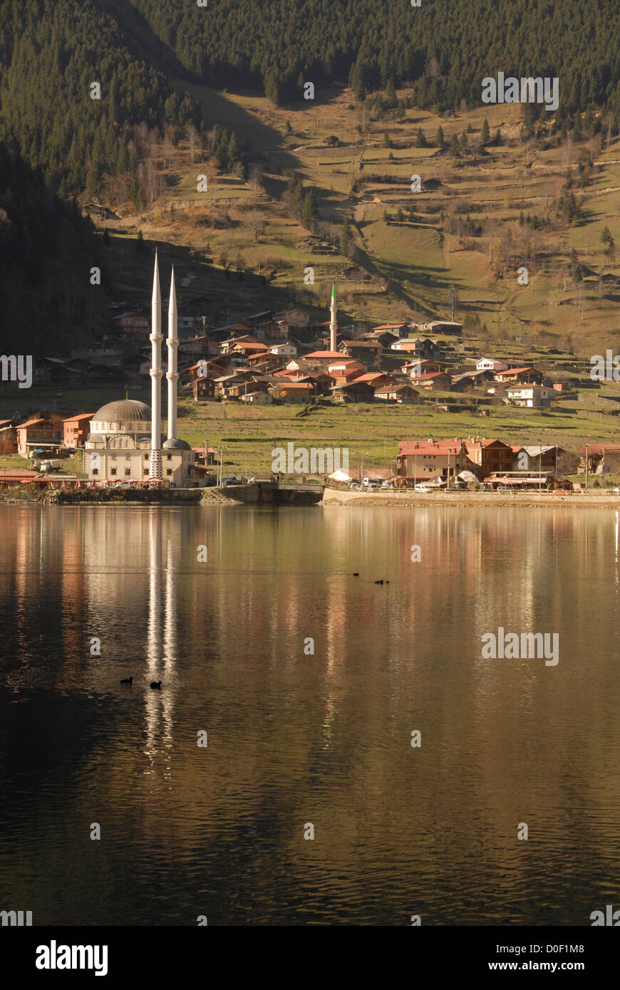 Uzungol lake hi-res stock photography and images - Alamy