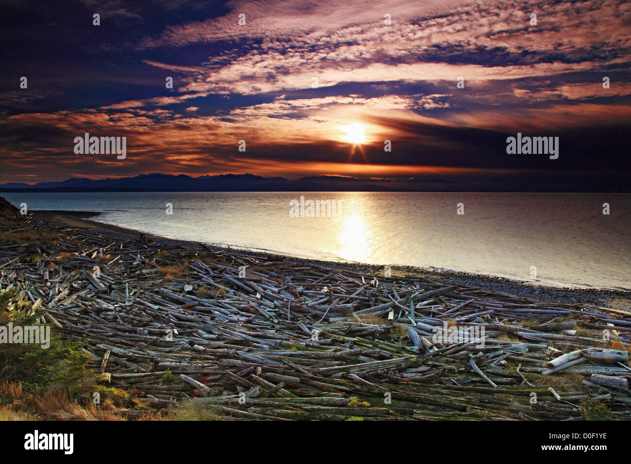 Fort Ebey State Park High Resolution Stock Photography and Images - Alamy