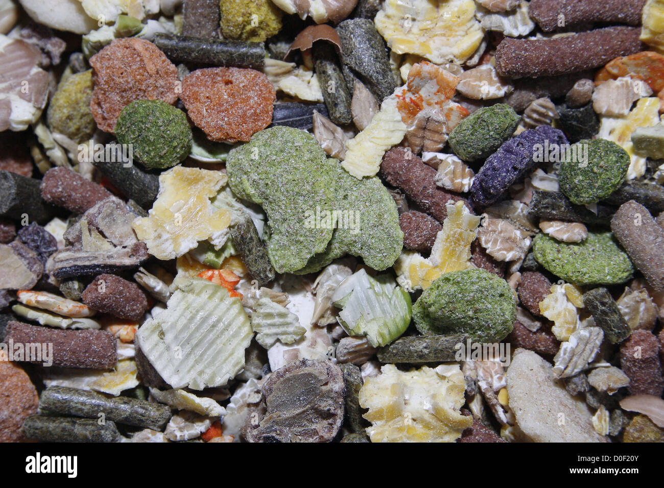 Rabbit and rat hi-res stock photography and images - Alamy