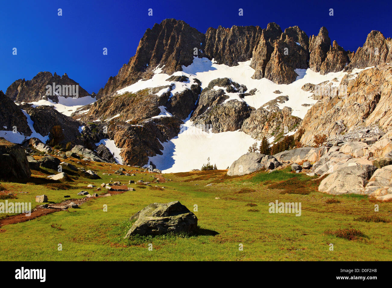Meadow on the approach to the Minarets in the Ansel Adams Wilderness ...