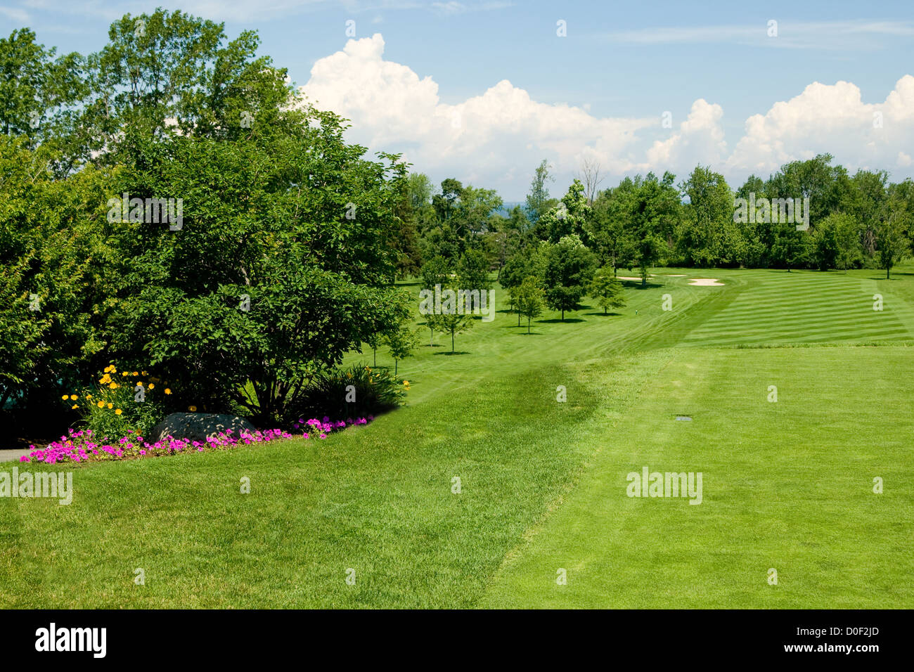 A long golf course fairway on a beautiful summer day Stock Photo - Alamy