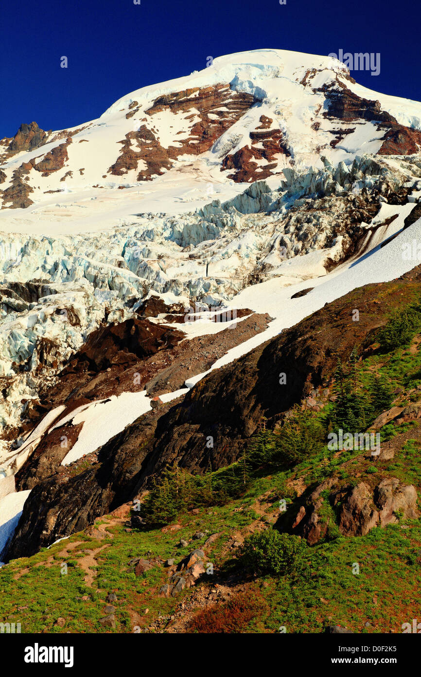 Mount Baker and the Coleman Glacier from Heliotrope Ridge in the Mount ...