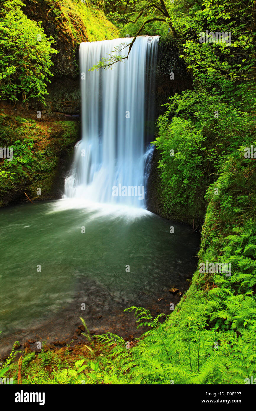 Lower South Falls in Silver Falls State Park, Oregon Stock Photo - Alamy
