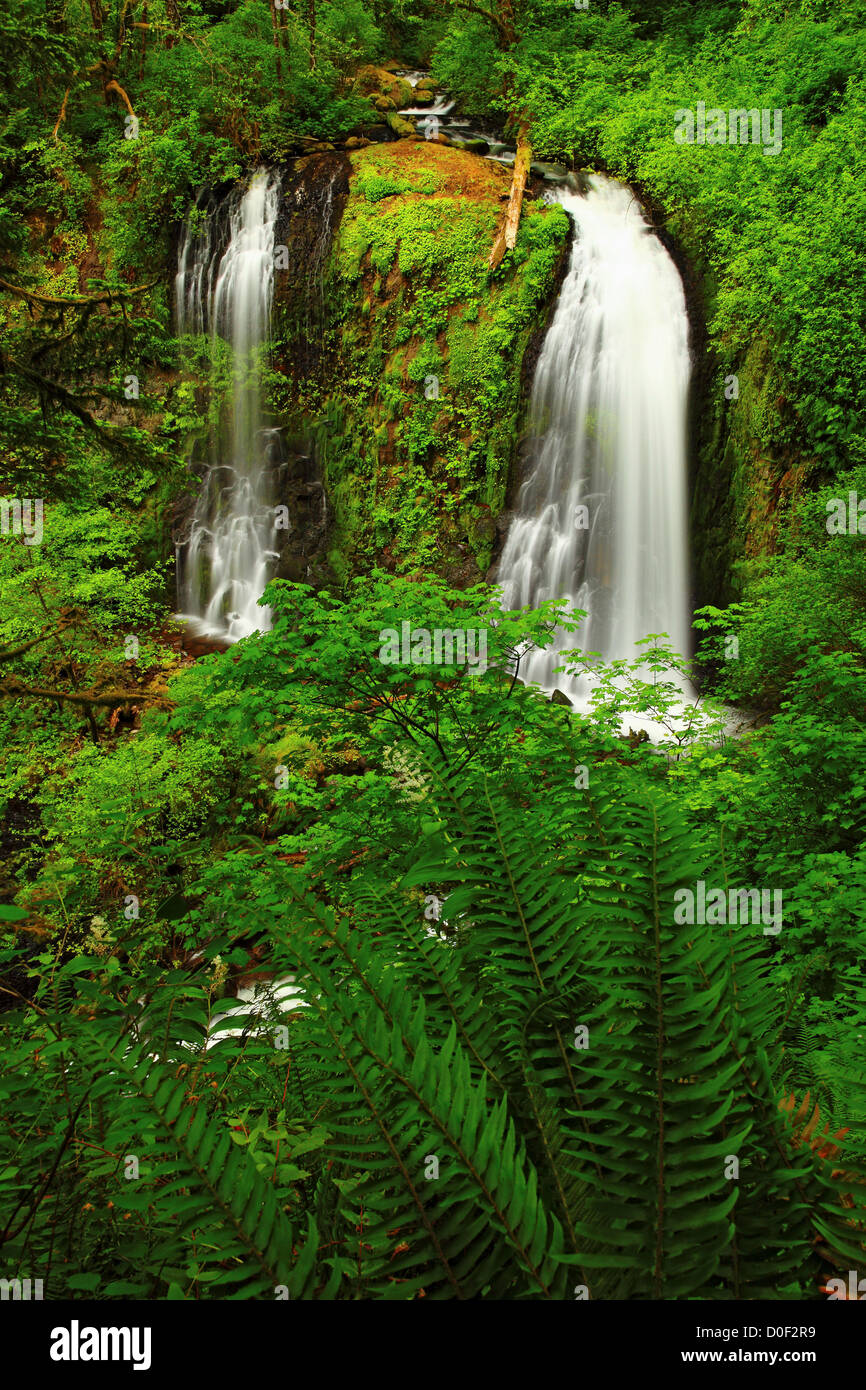 Double Falls in the Columbia River Gorge National Scenic Area, Oregon ...