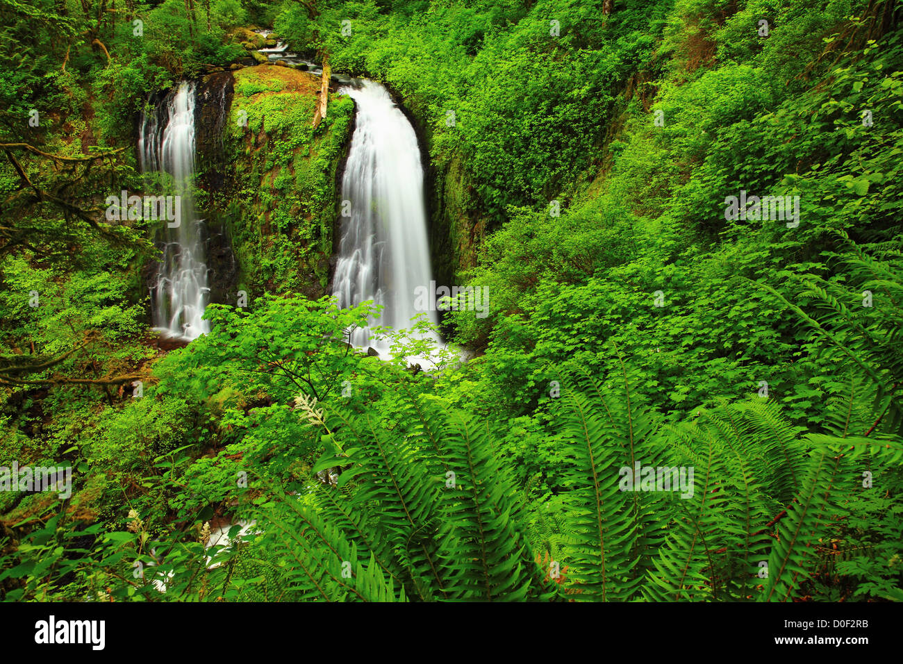 Double Falls in the Columbia River Gorge National Scenic Area, Oregon ...