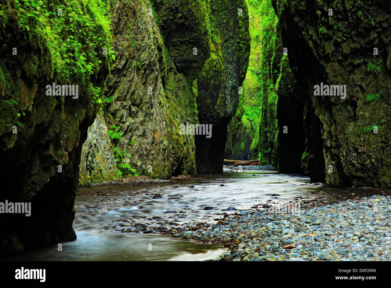 Oneonta Gorge in the Columbia River Gorge National Scenic Area, Oregon ...