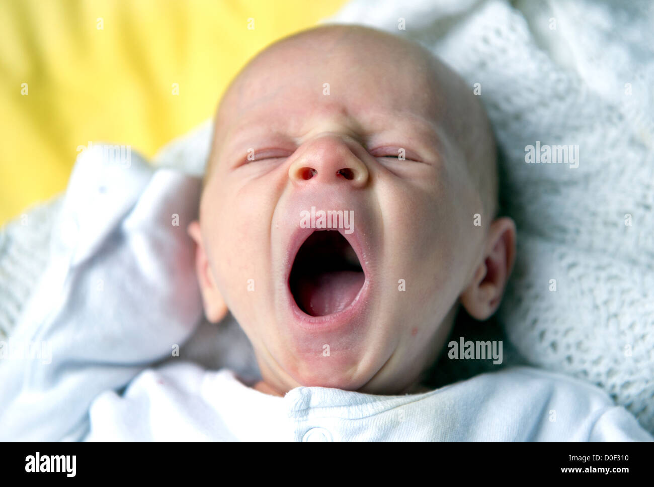 Weeks four hi-res stock photography and images - Alamy