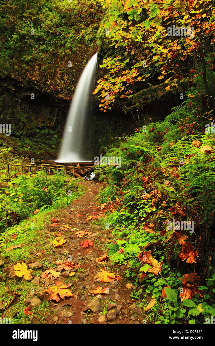 Fall color and Upper Latourell Falls Stock Photo - Alamy