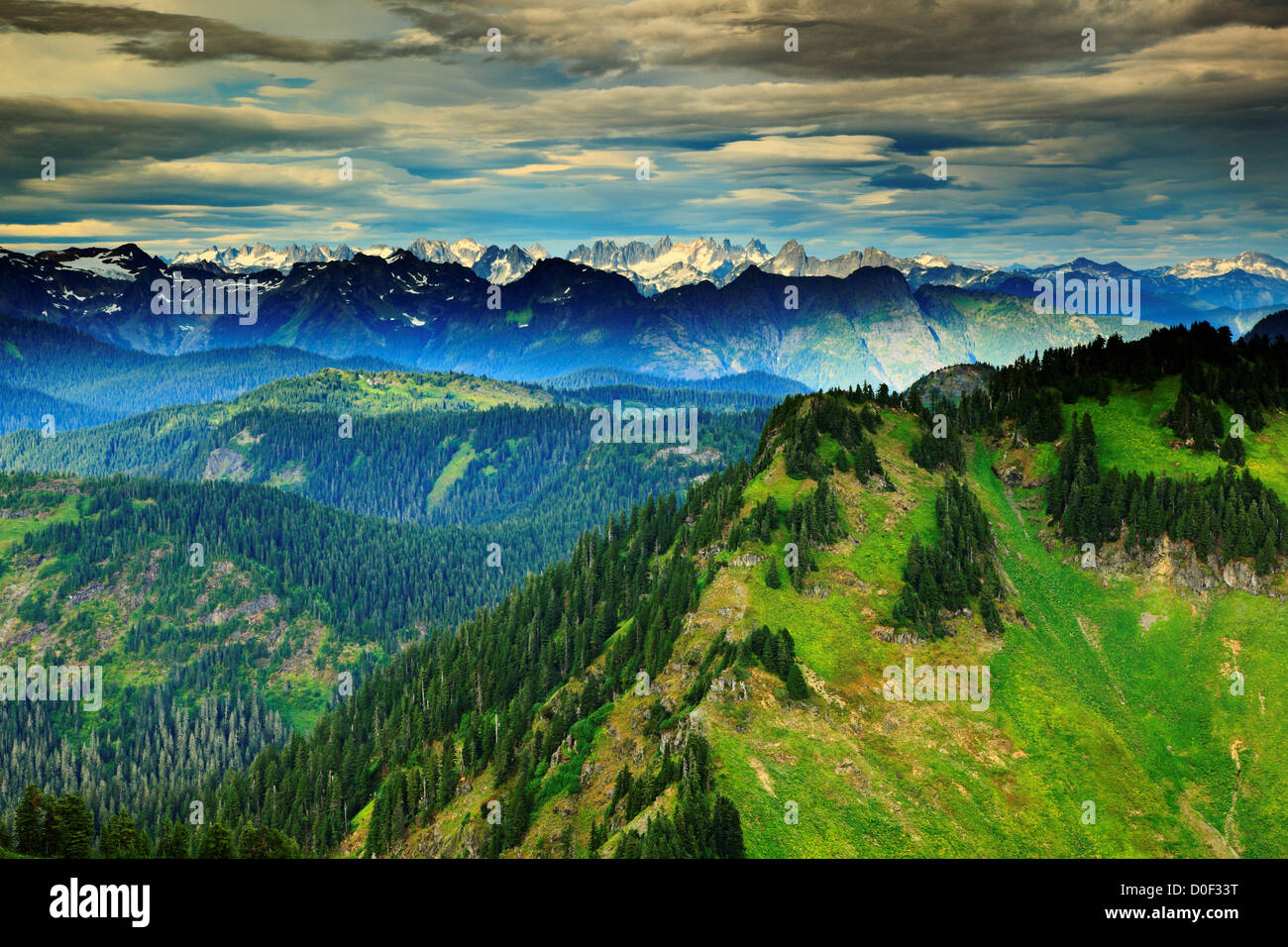 View of the Picket Range from Sauk Mountain Stock Photo - Alamy
