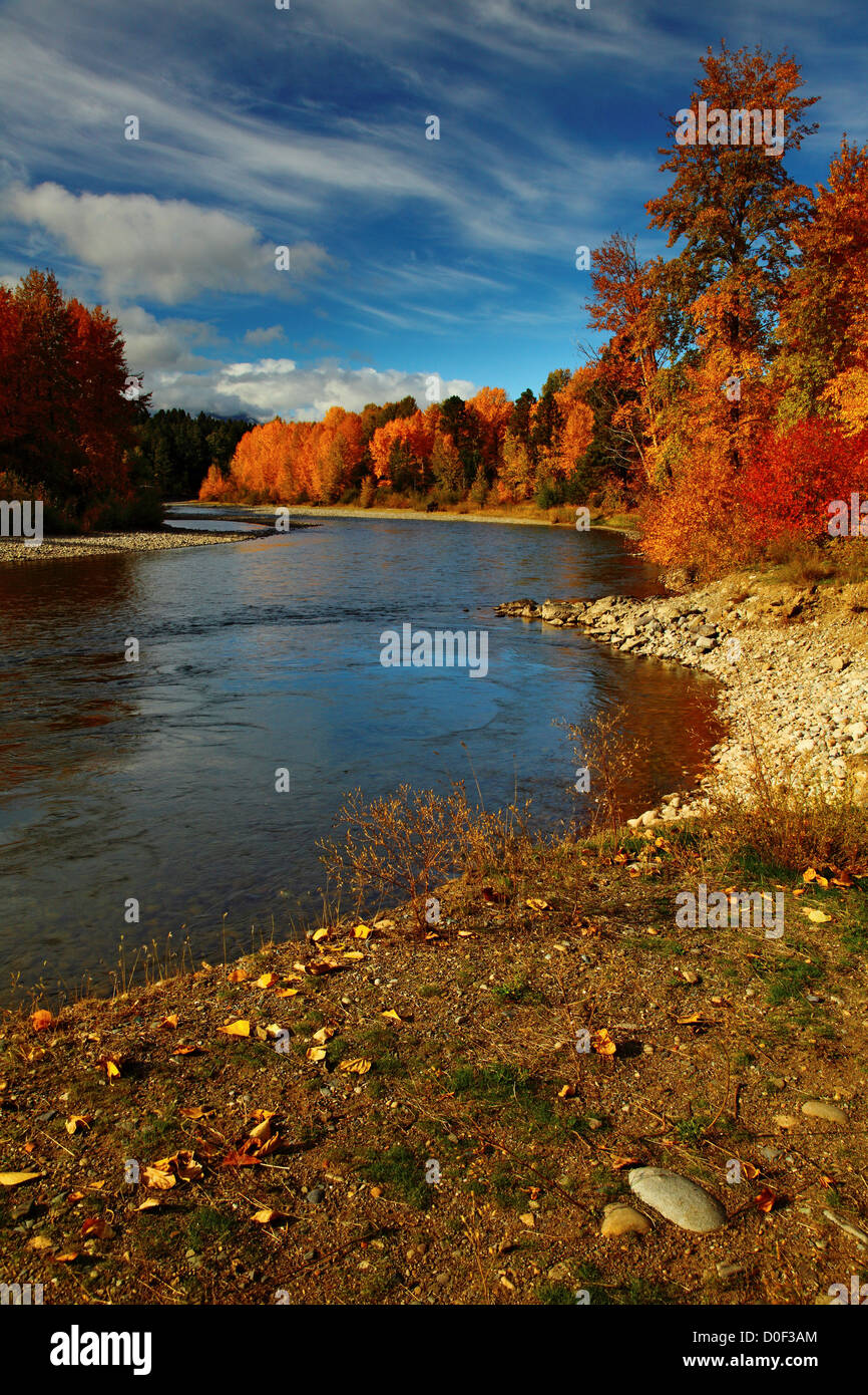 Fall color along the Yakima River in Wenatchee National Forest Stock ...