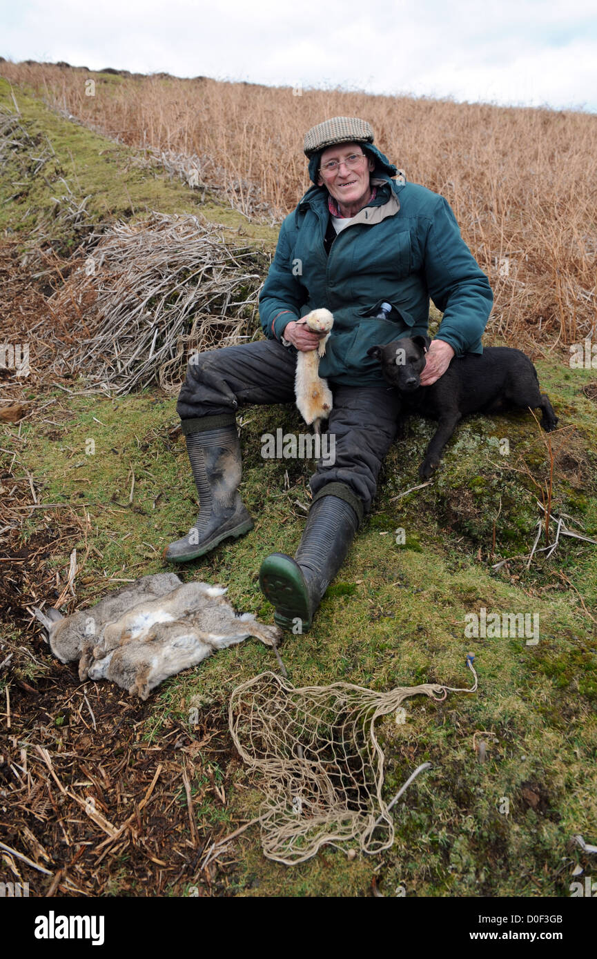 Rabbit holes uk hi-res stock photography and images - Alamy