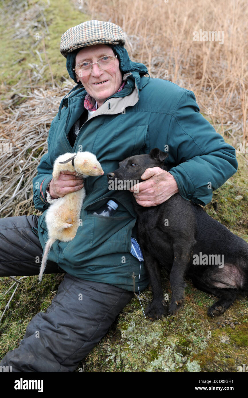 Rabbit holes uk hi-res stock photography and images - Alamy