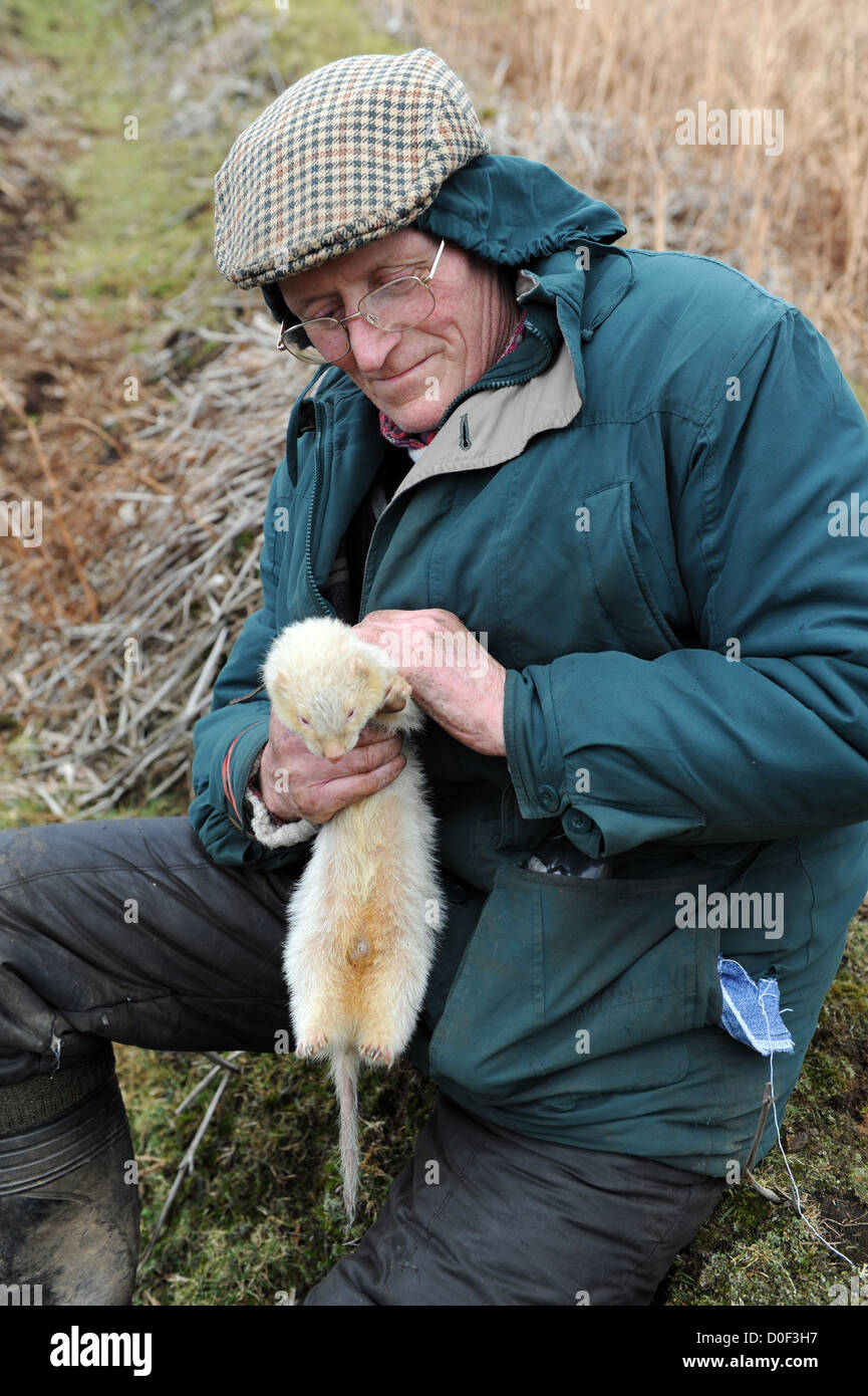 Rabbit holes uk hi-res stock photography and images - Alamy