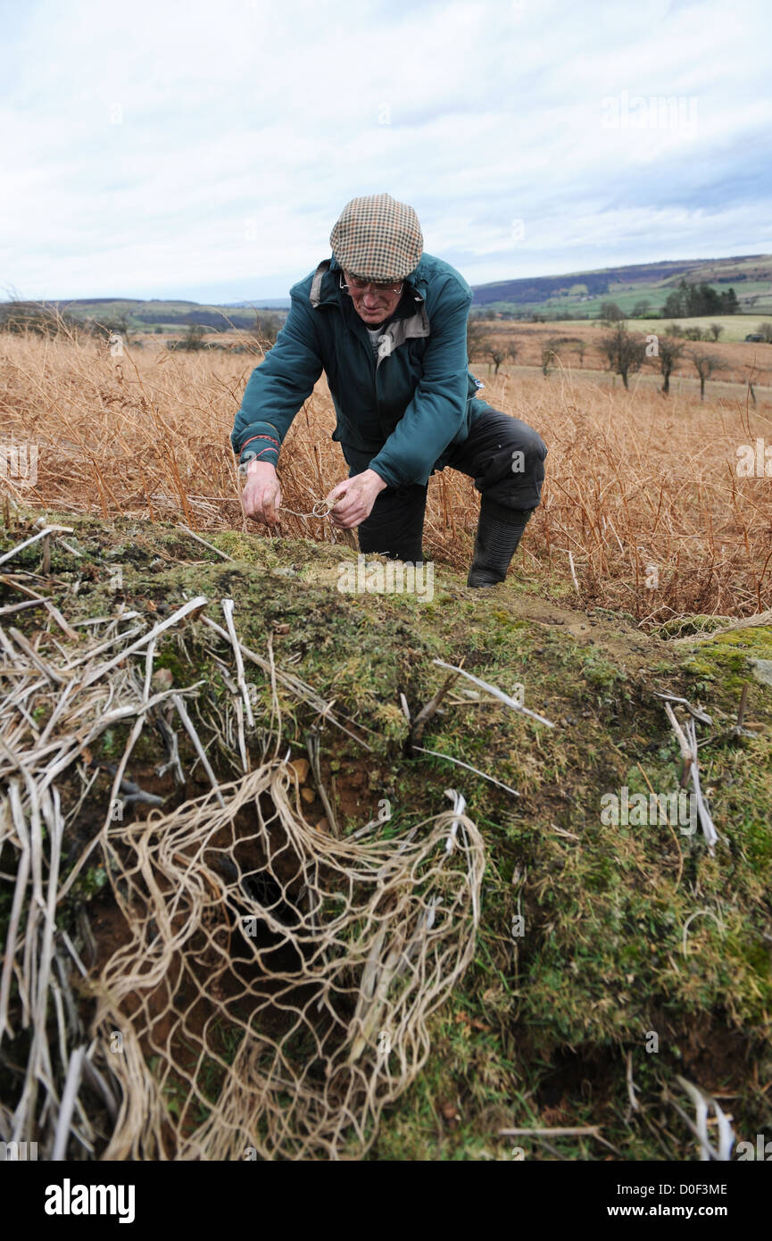Rabbit holes uk hi-res stock photography and images - Alamy