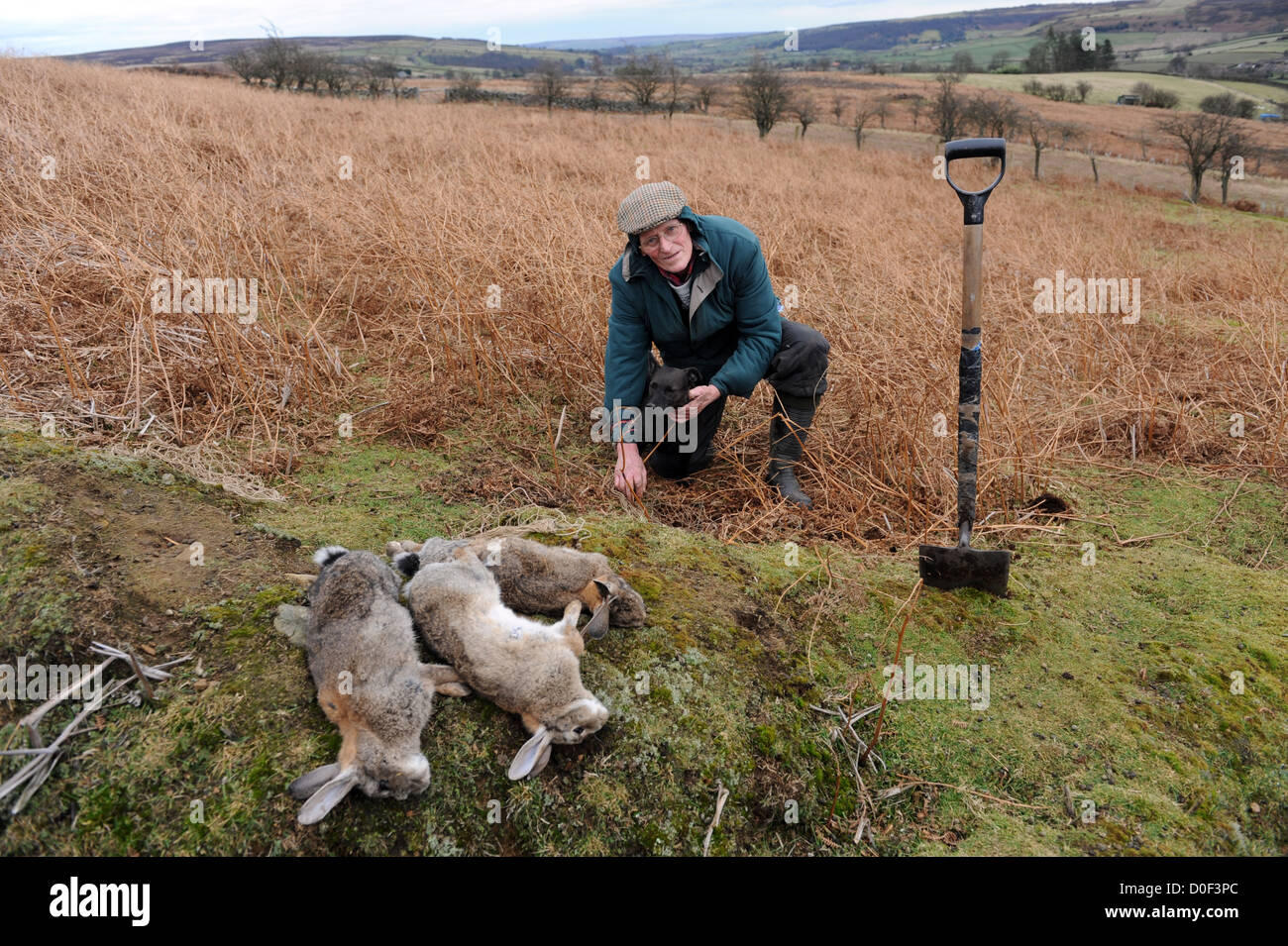 Rabbit holes uk hi-res stock photography and images - Alamy