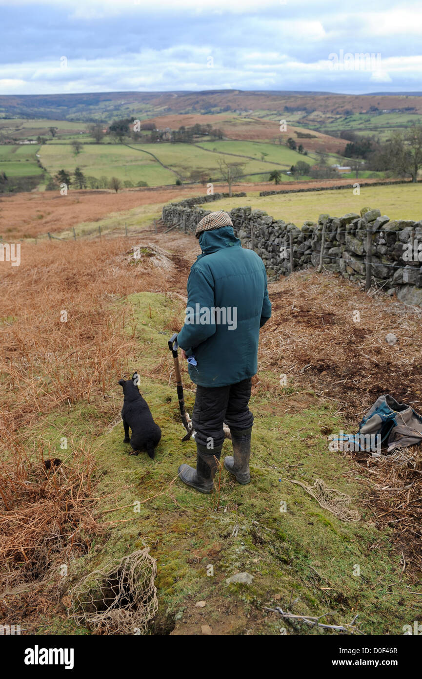 Rabbit holes uk hi-res stock photography and images - Alamy