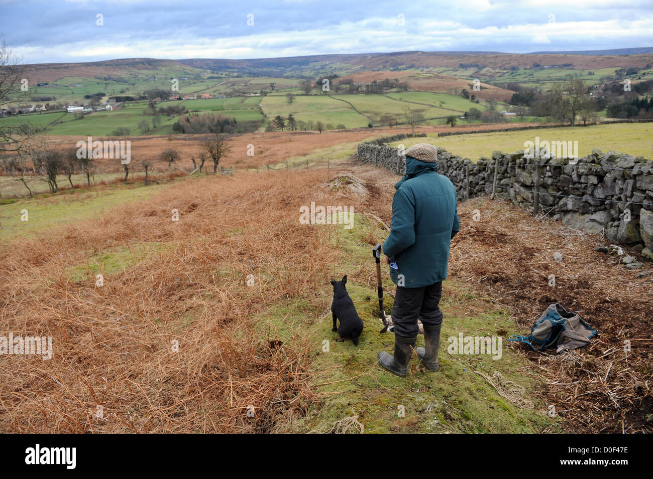 Rabbit holes uk hi-res stock photography and images - Alamy