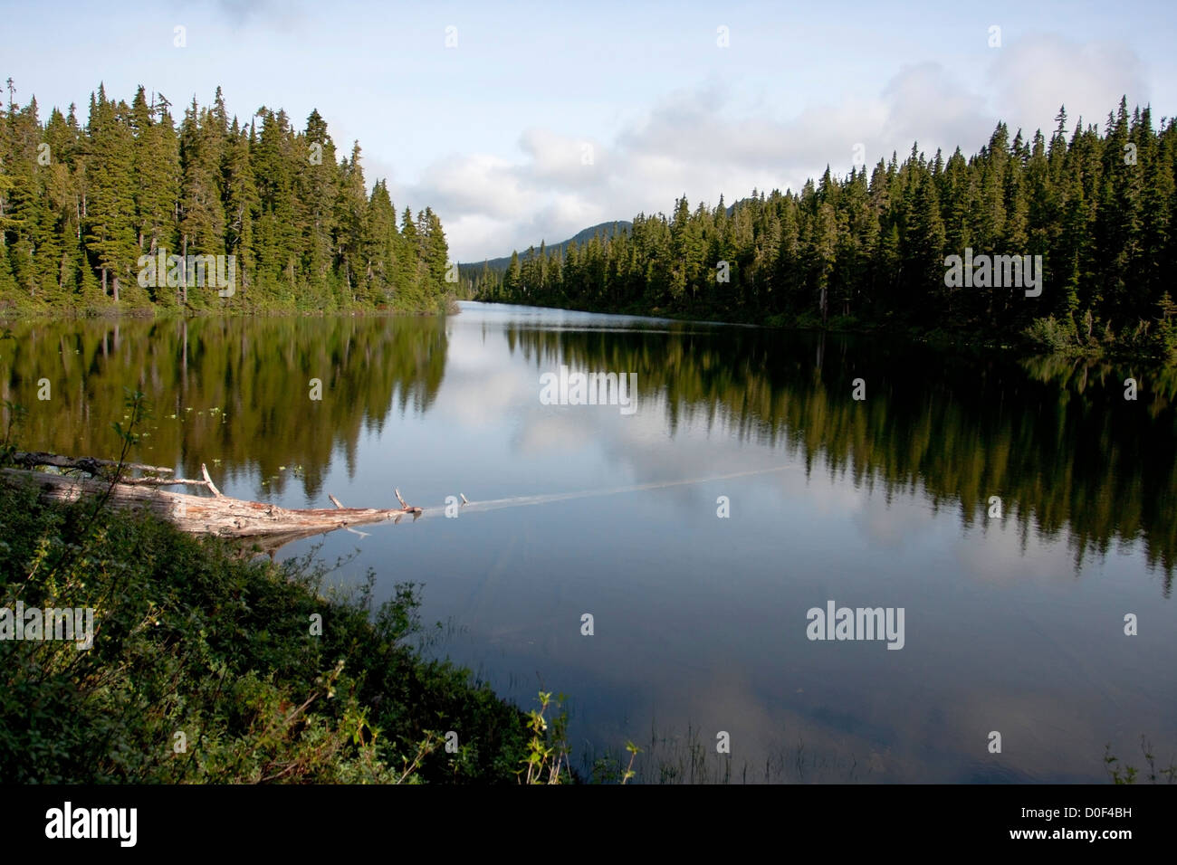 Battleship Lake at the Forbidden Plateau, Strathcona Park, Vancouver ...