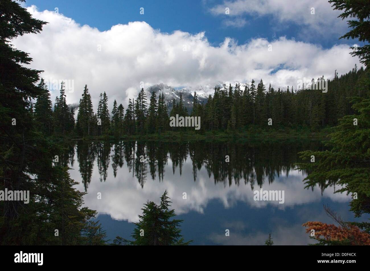 Kwai Lake at the Forbidden Plateau, Strathcona Park, Vancouver Is. BC ...