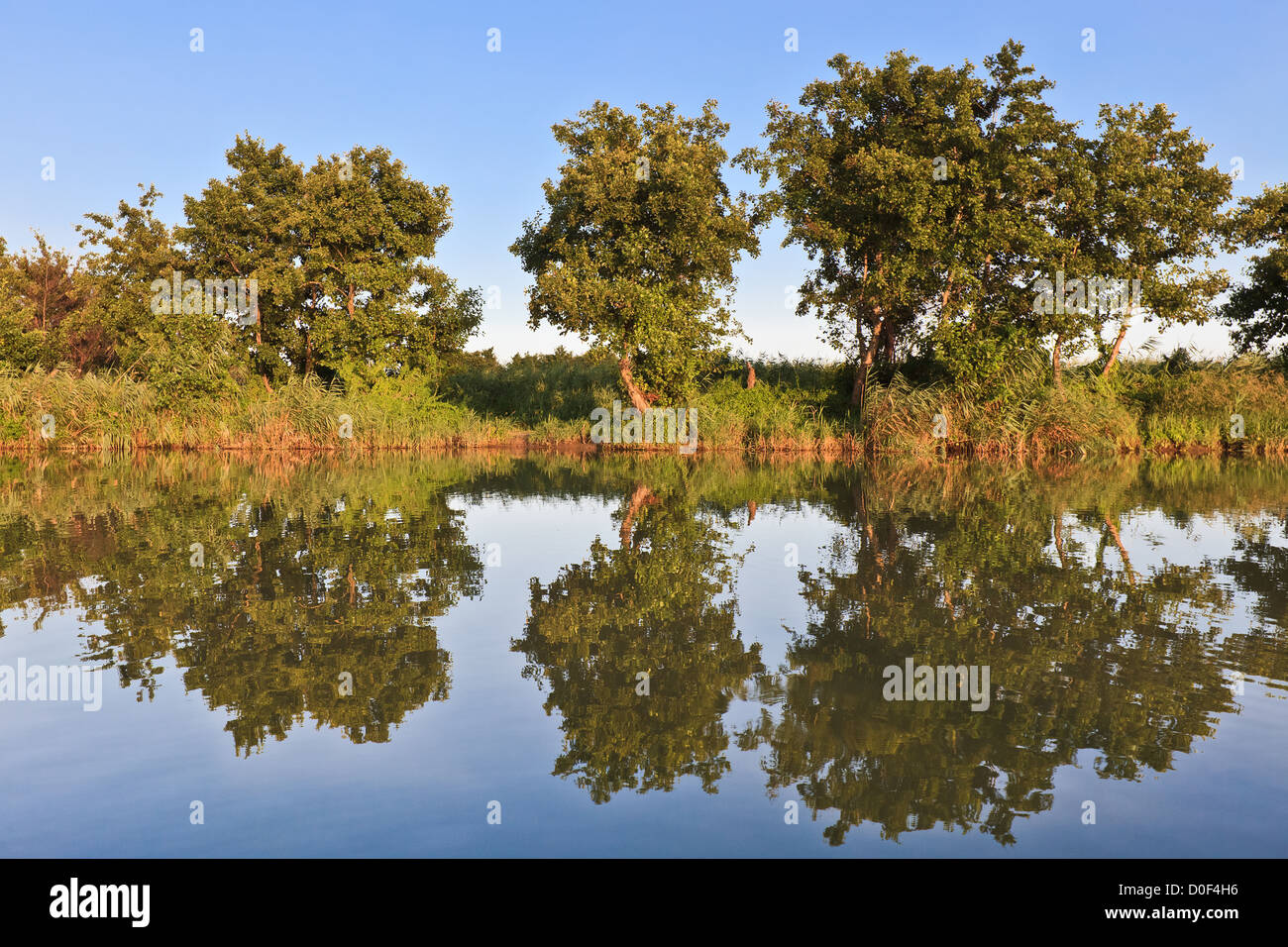 reflections on lake Stock Photo - Alamy