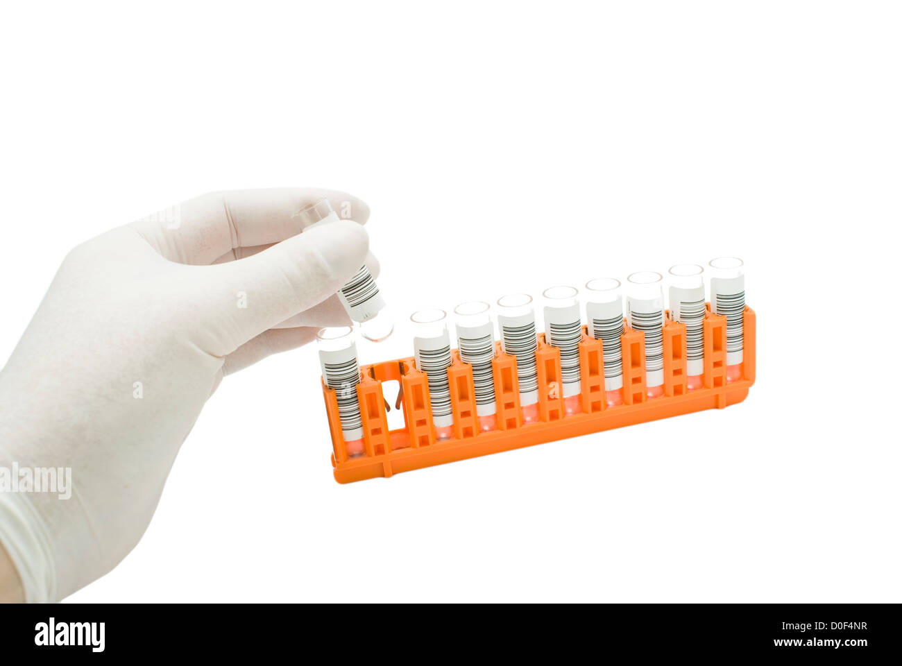 Test tube hold in hand isolated on white Stock Photo - Alamy