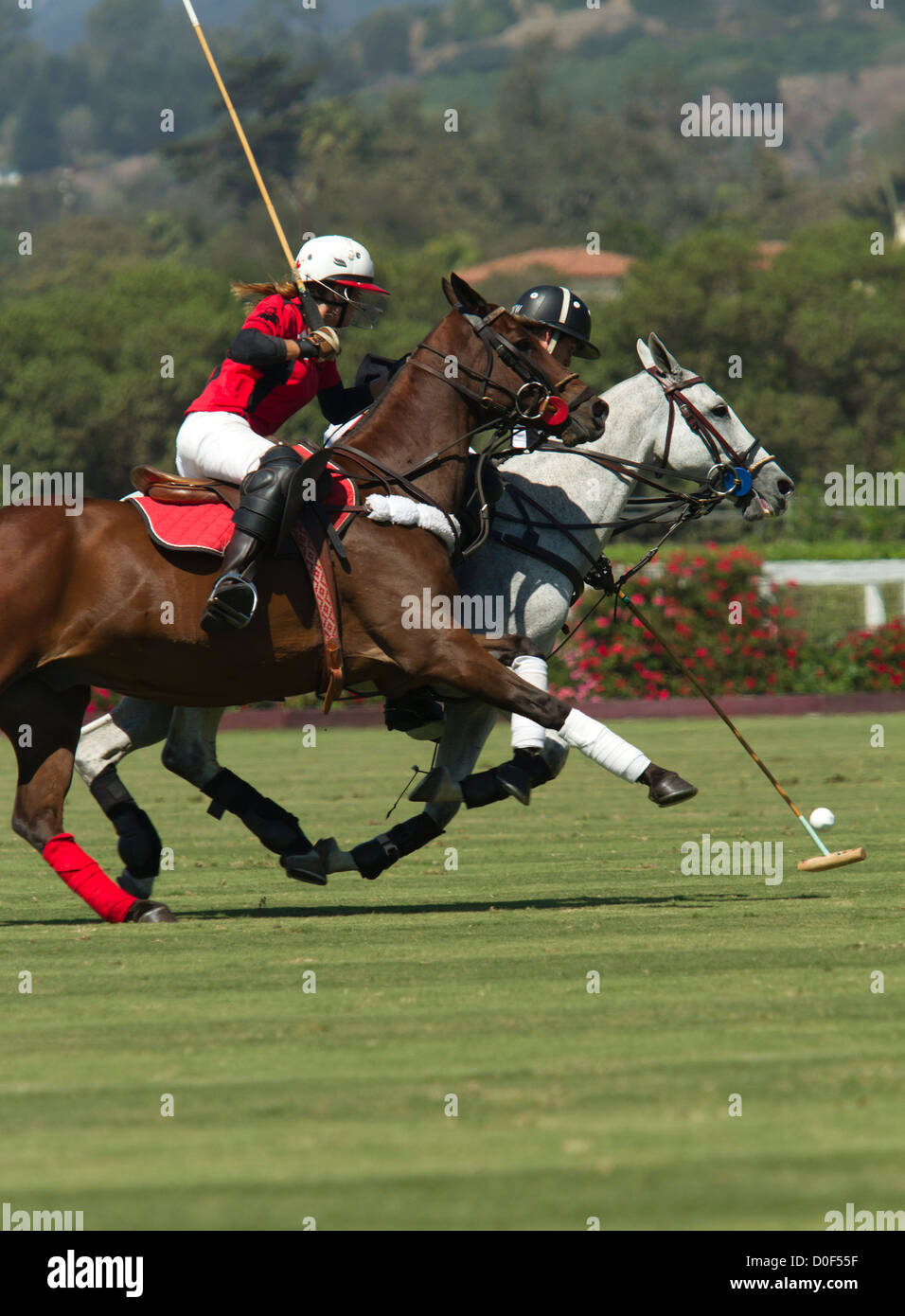 Polo players in goal position Stock Photo - Alamy