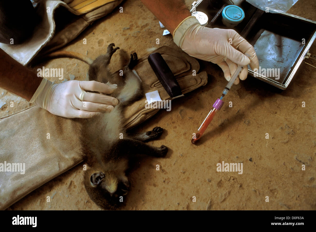 Mustache Drawing High Resolution Stock Photography and Images - Alamy