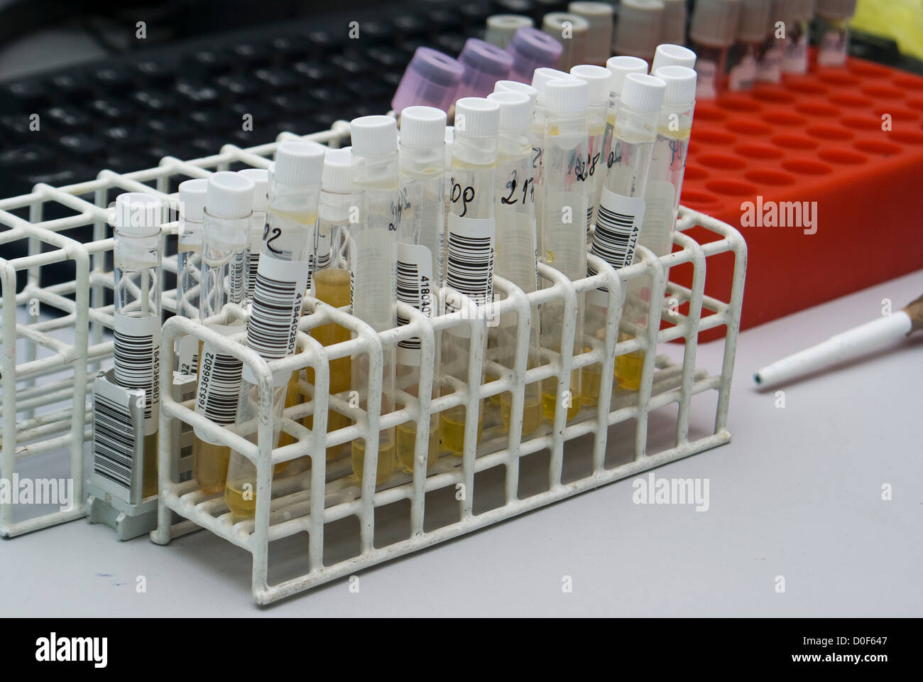 Intellectual tube hi-res stock photography and images - Alamy