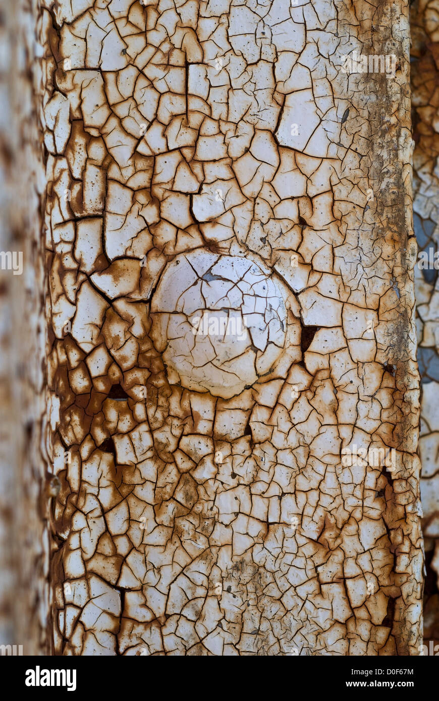 rusty rivet with old paint Stock Photo - Alamy