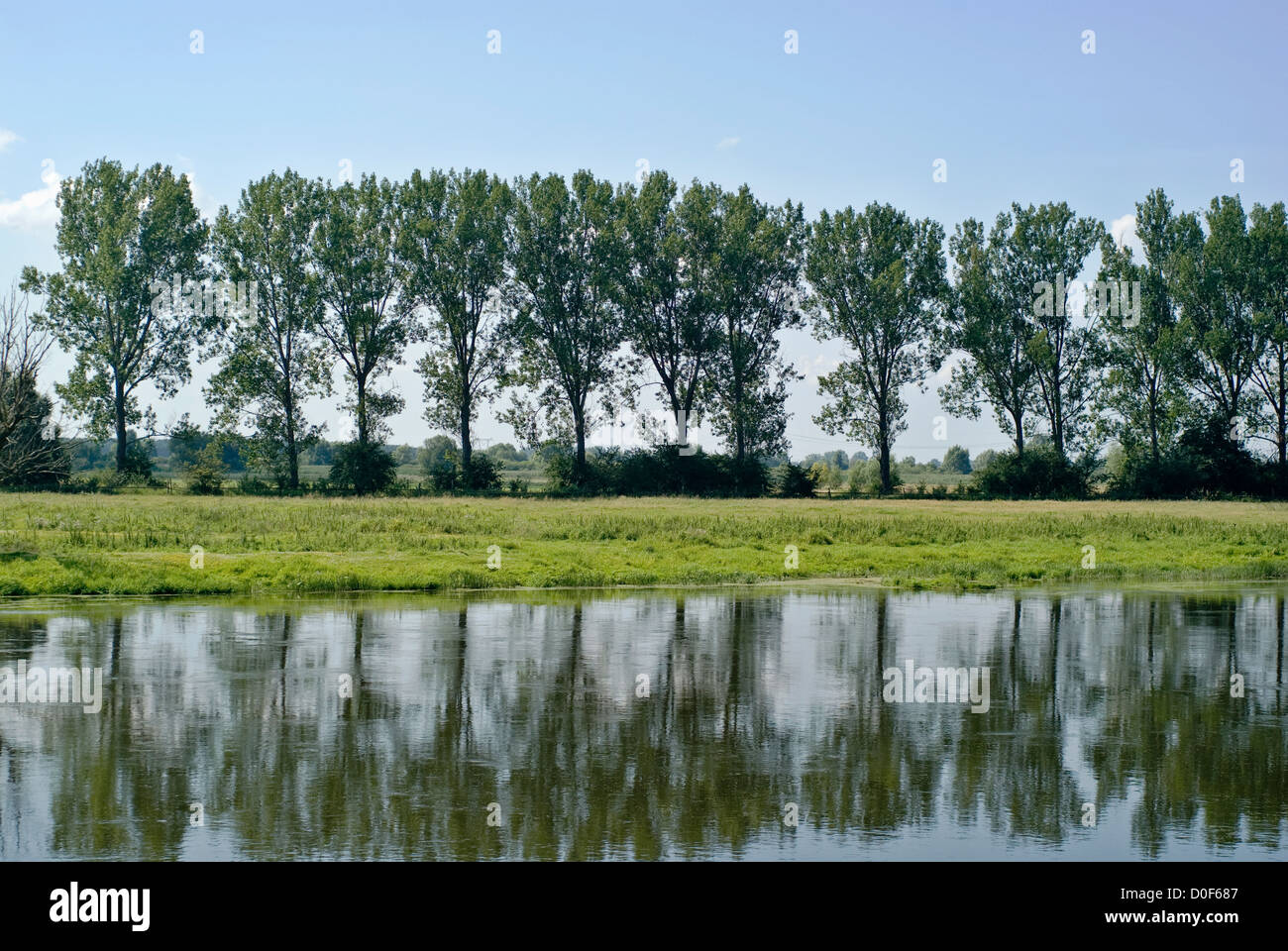 warta with trees Stock Photo - Alamy