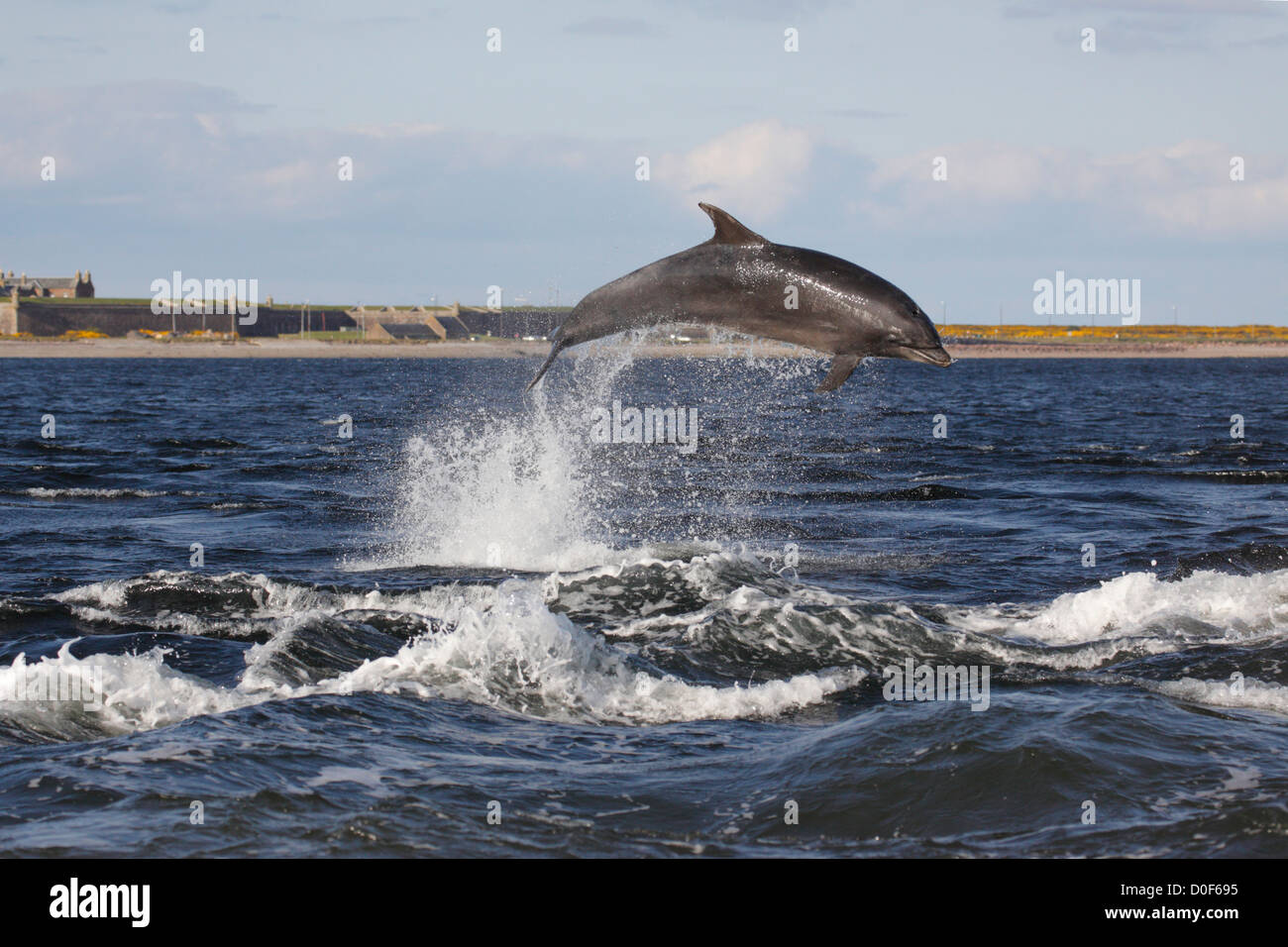 Chanonry point hi-res stock photography and images - Alamy