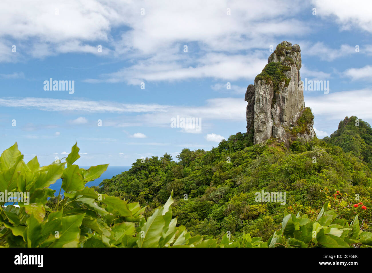 Rarotonga needle hi-res stock photography and images - Alamy