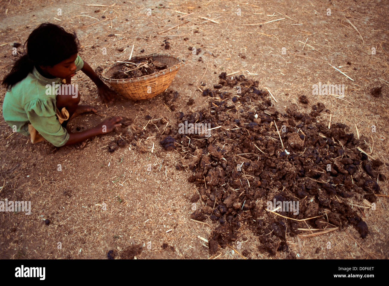 Girl with cow dung hi-res stock photography and images - Alamy