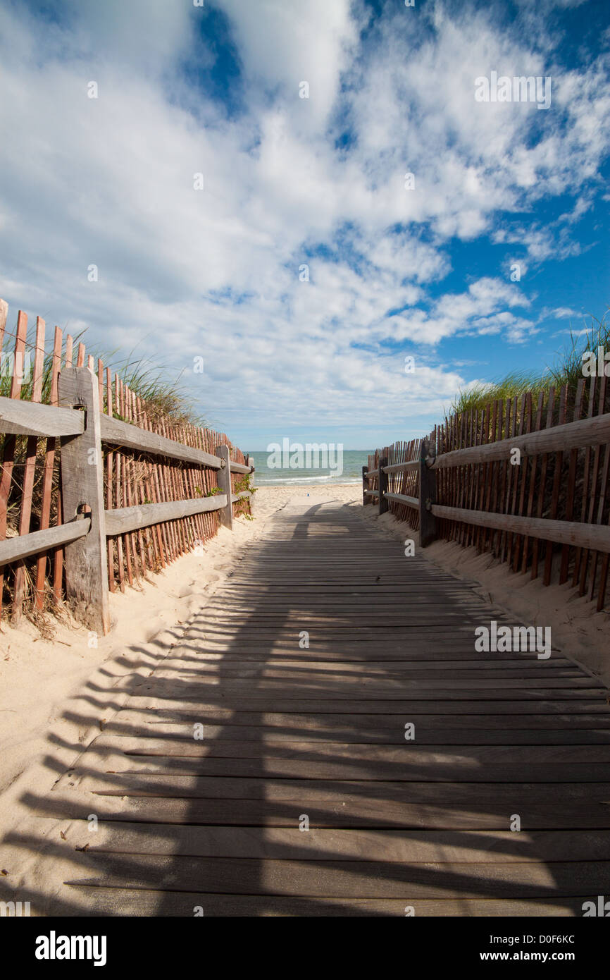 A beach on the Cape Cod with sand dunes Stock Photo - Alamy