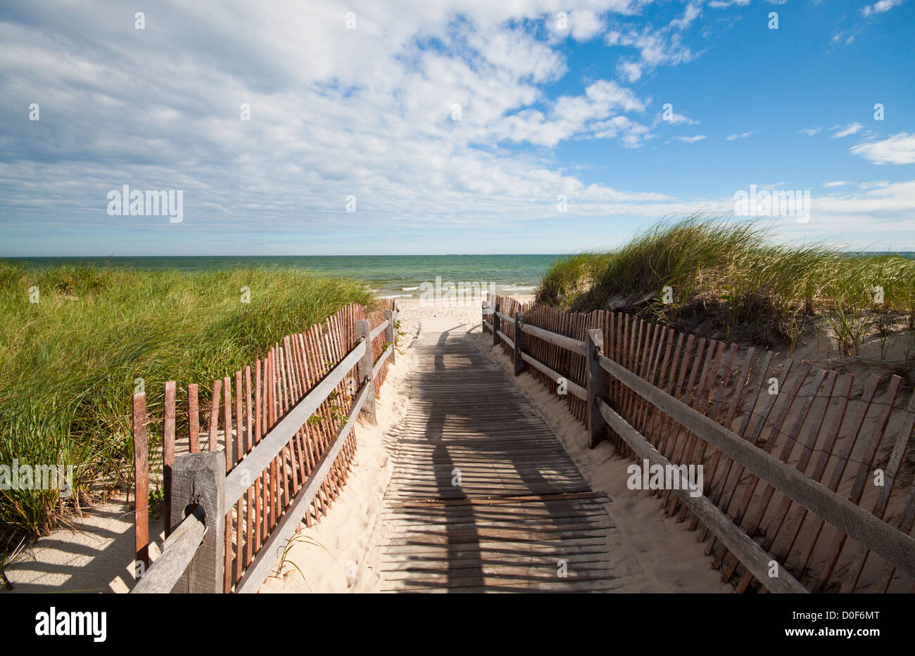 A beach on the Cape Cod with sand dunes Stock Photo - Alamy