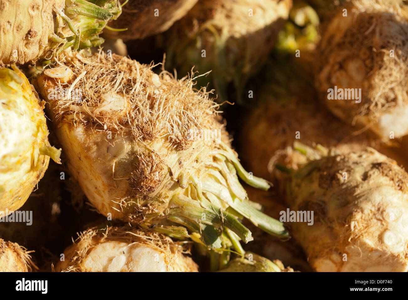 Celery root storage hi-res stock photography and images - Alamy