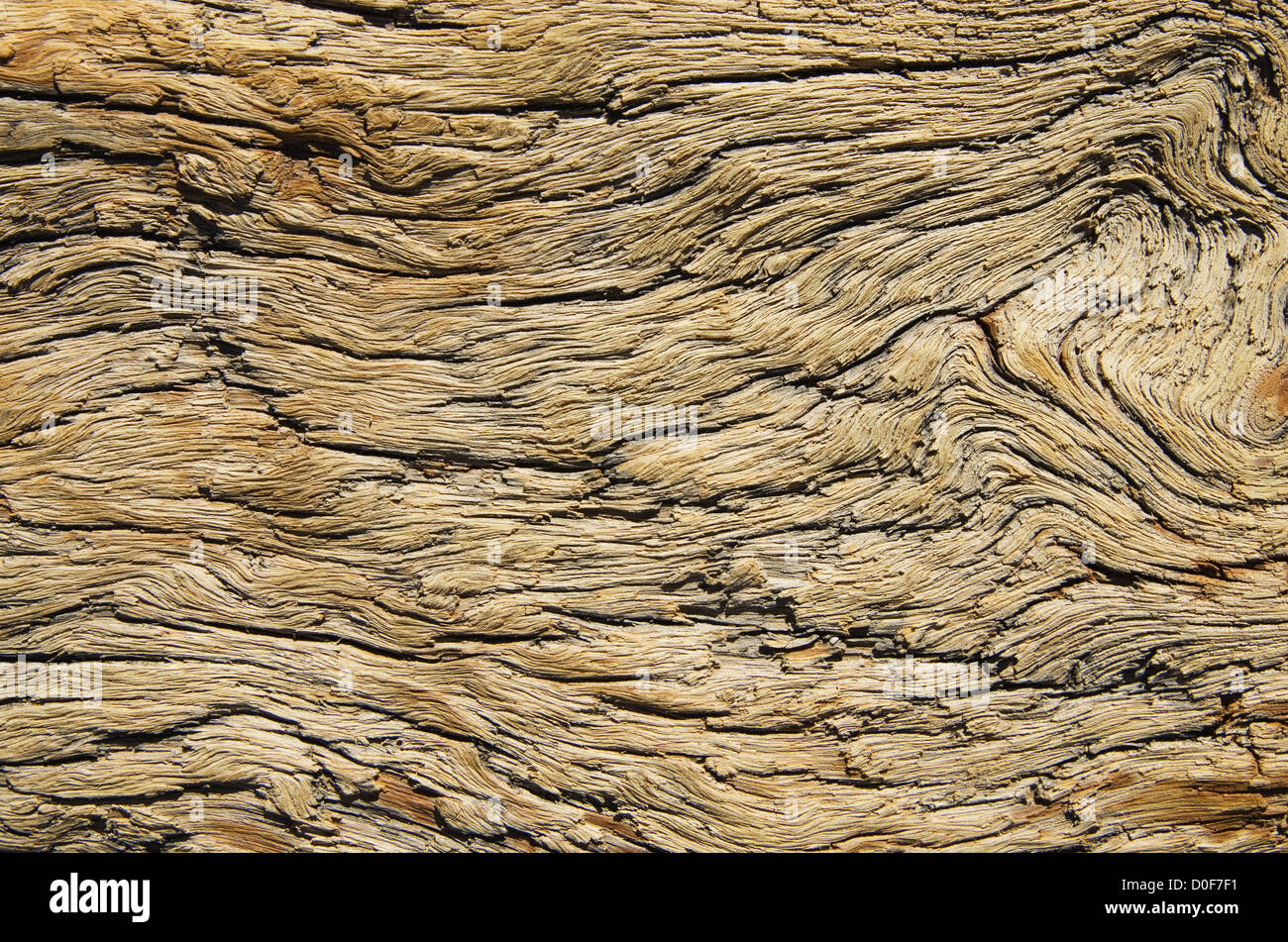 weathered and contorted natural old pine wood Stock Photo - Alamy