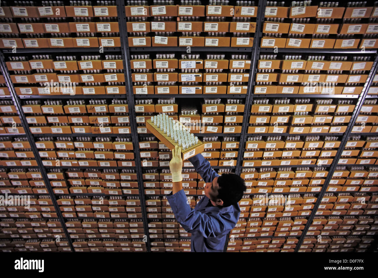 Armed forces dna repository hi-res stock photography and images - Alamy