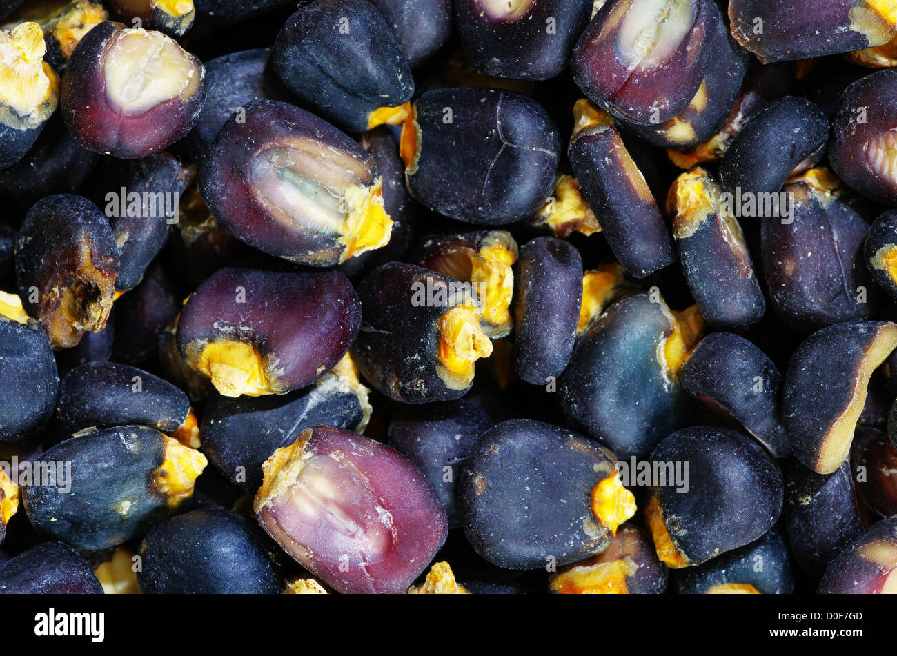 Pozole hi-res stock photography and images - Alamy