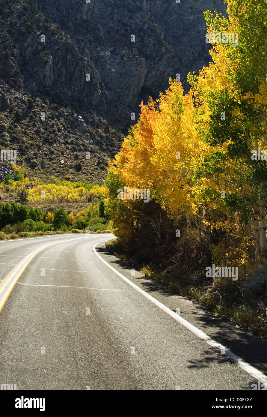 Autumn aspen trees lake hi-res stock photography and images - Alamy
