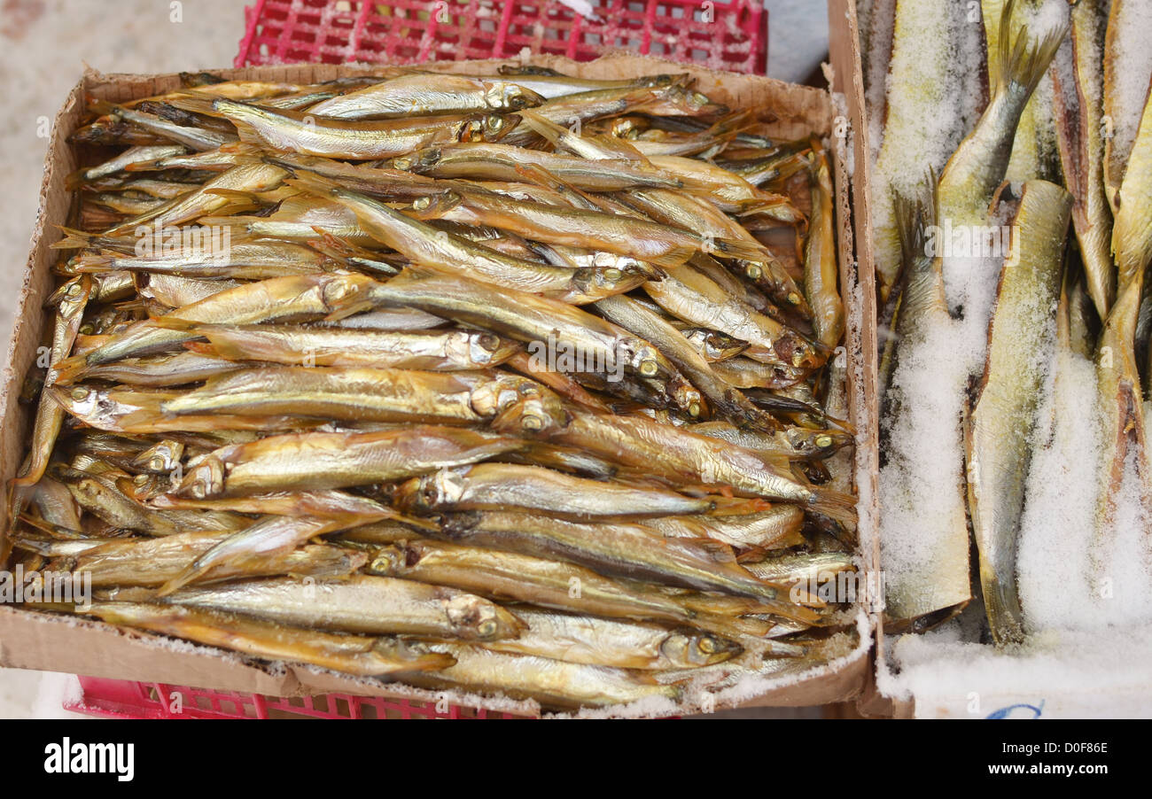 Capelin hi-res stock photography and images - Alamy