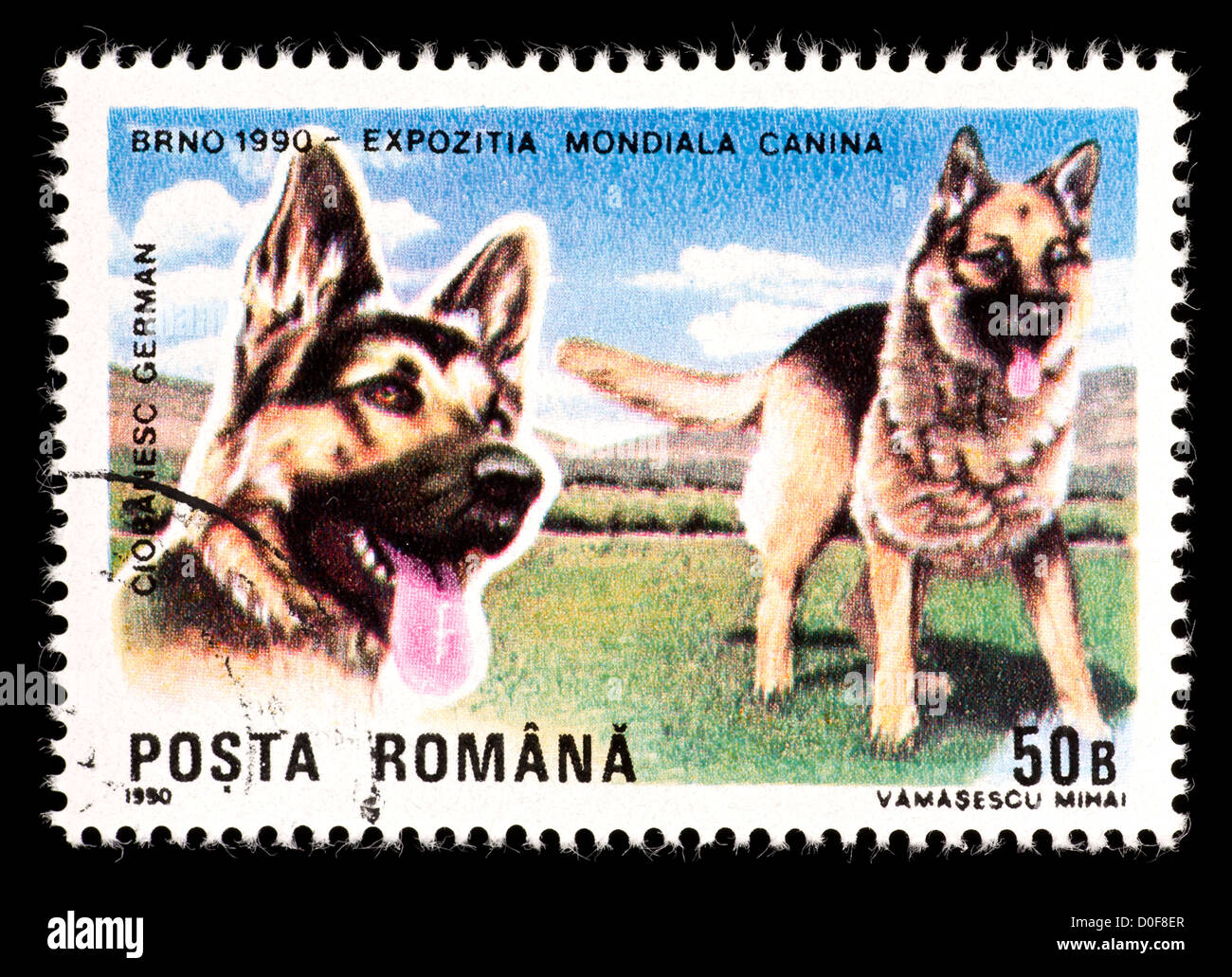 Postage stamp Romania depicting a German Shepherd dog breed Stock Photo ...