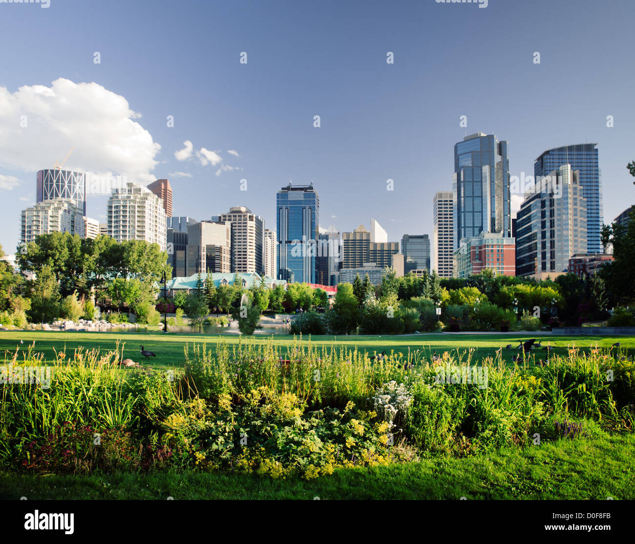 Downtown Core seen from near by park Stock Photo - Alamy