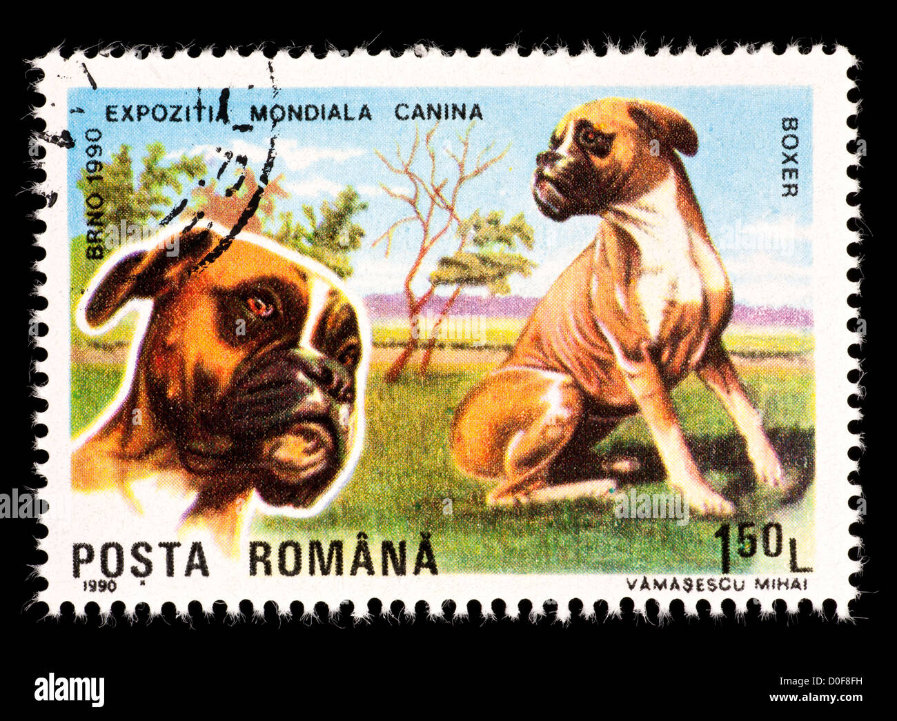 Postage stamp from Romania depicting a boxer dog breed Stock Photo - Alamy