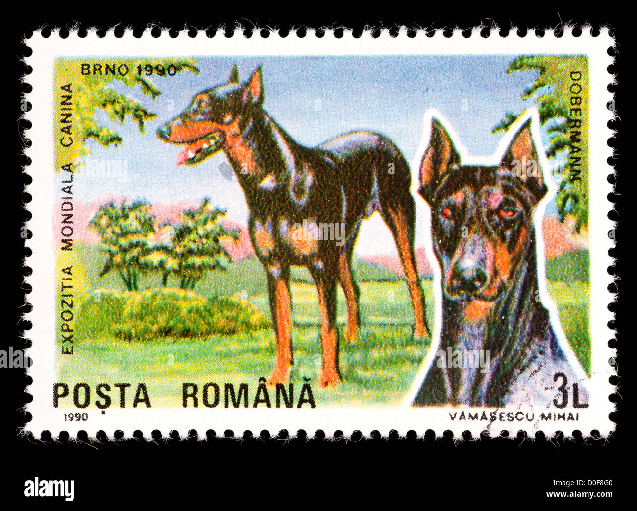 Postage stamp from Romania depicting a Doberman Pinscher dog breed ...