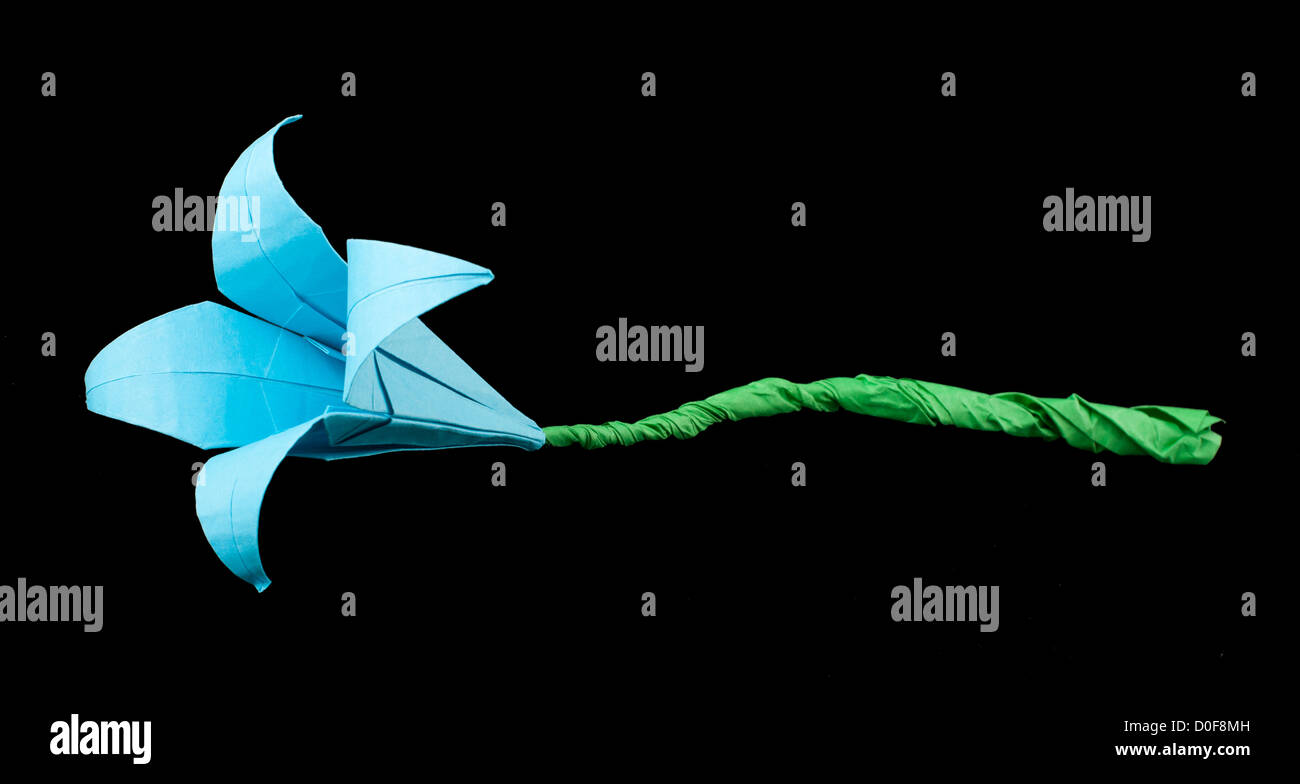 Blue Flower origami black isolated. Paper made flowers Stock Photo - Alamy