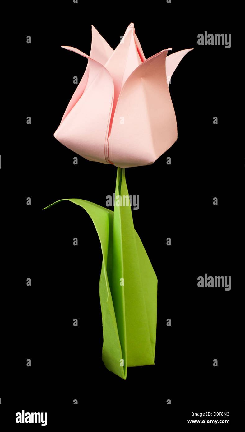 Pink tulip isolated on black background. Paper made flowers Stock Photo ...